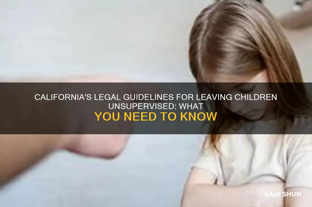California's Legal Guidelines For Leaving Children Unsupervised: What ...