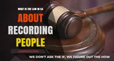 Understanding The Universal Principle Of Law For Everyone | LawShun