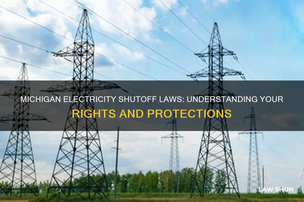 Michigan Electricity Shutoff Laws: Understanding Your Rights And ...