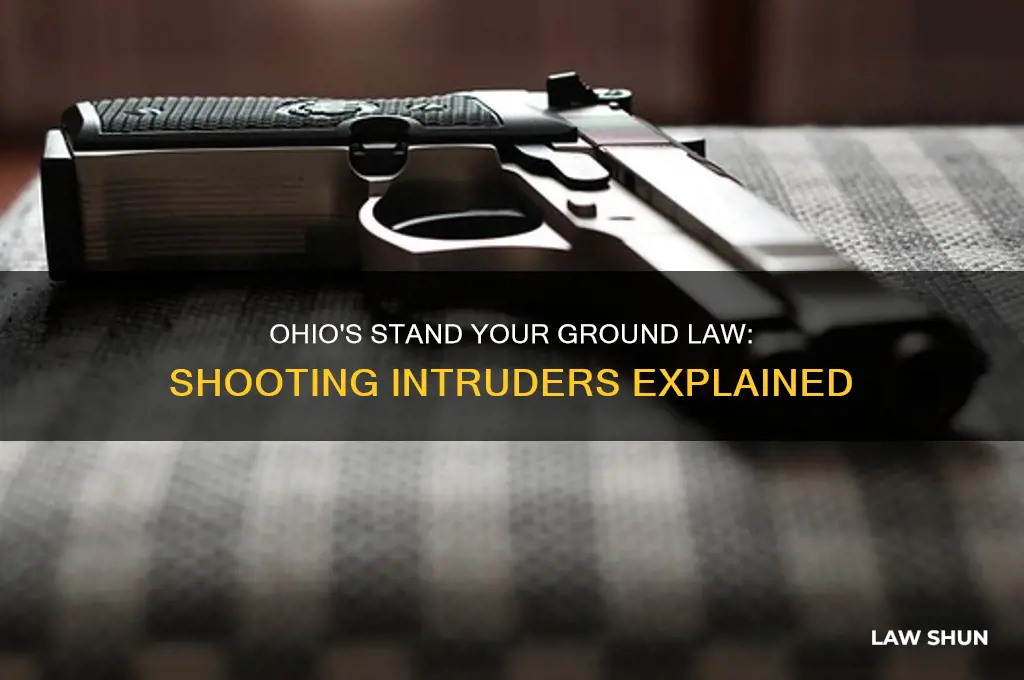 Ohio's Stand Your Ground Law: Shooting Intruders Explained | LawShun