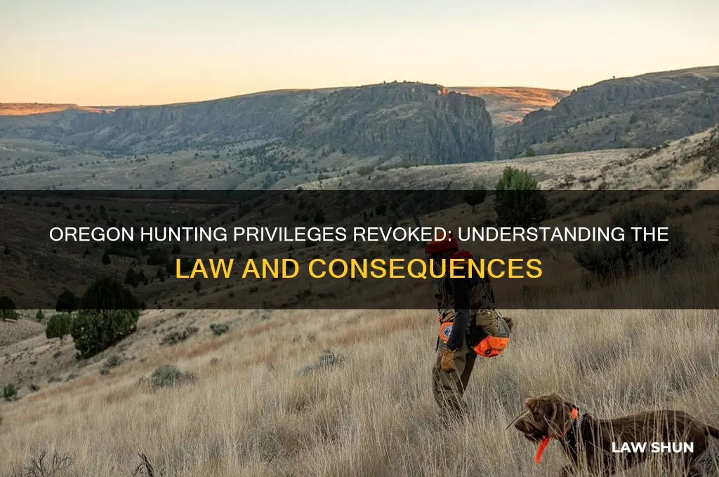 Oregon Hunting Privileges Revoked: Understanding The Law And ...