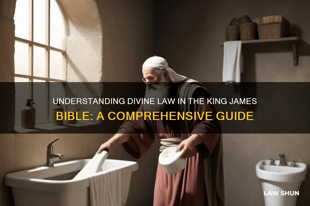 Understanding Divine Law In The King James Bible: A Comprehensive Guide ...
