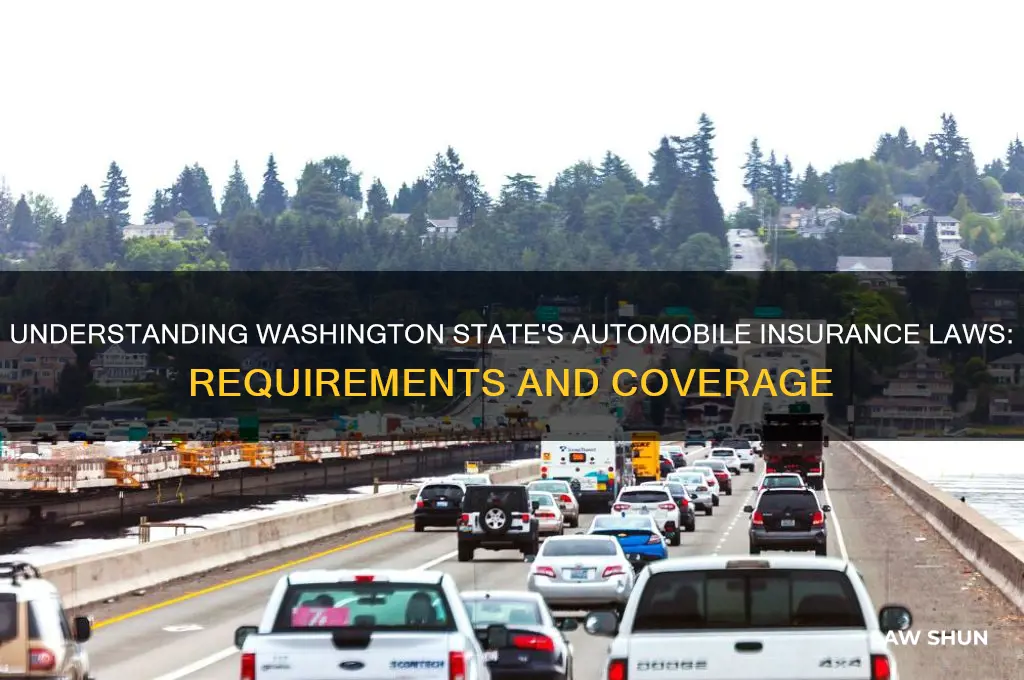 Understanding Washington State's Automobile Insurance Laws ...