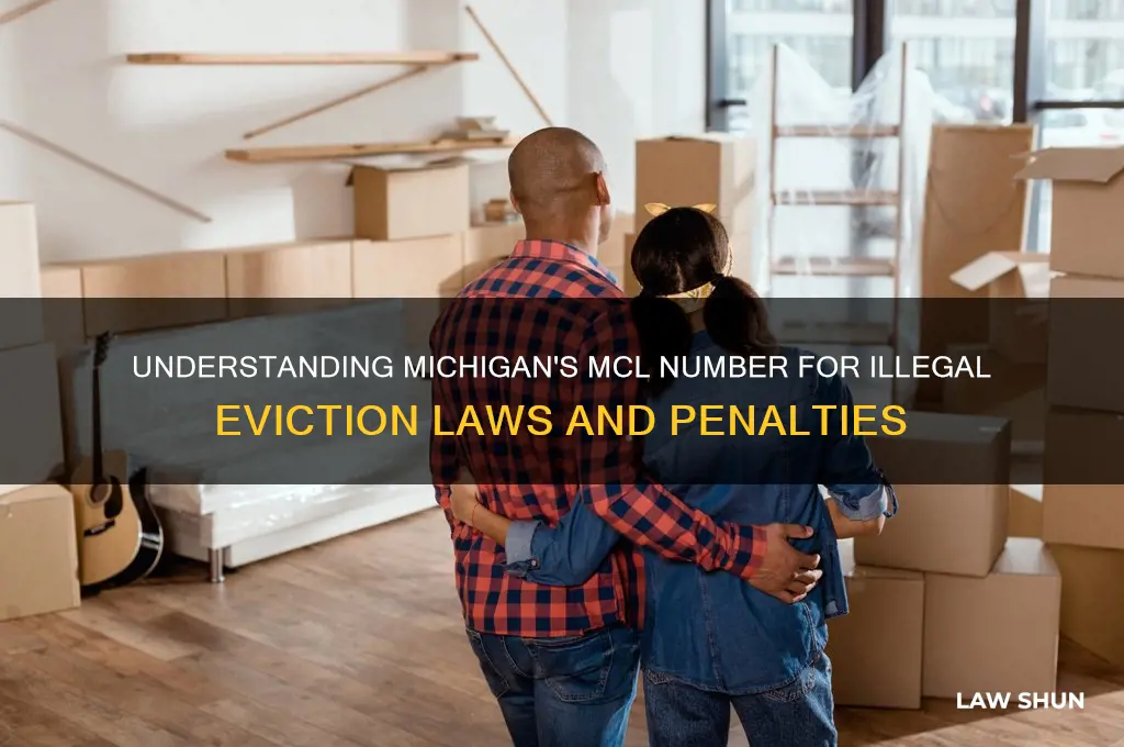 Understanding Michigan's Mcl Number For Illegal Eviction Laws And ...