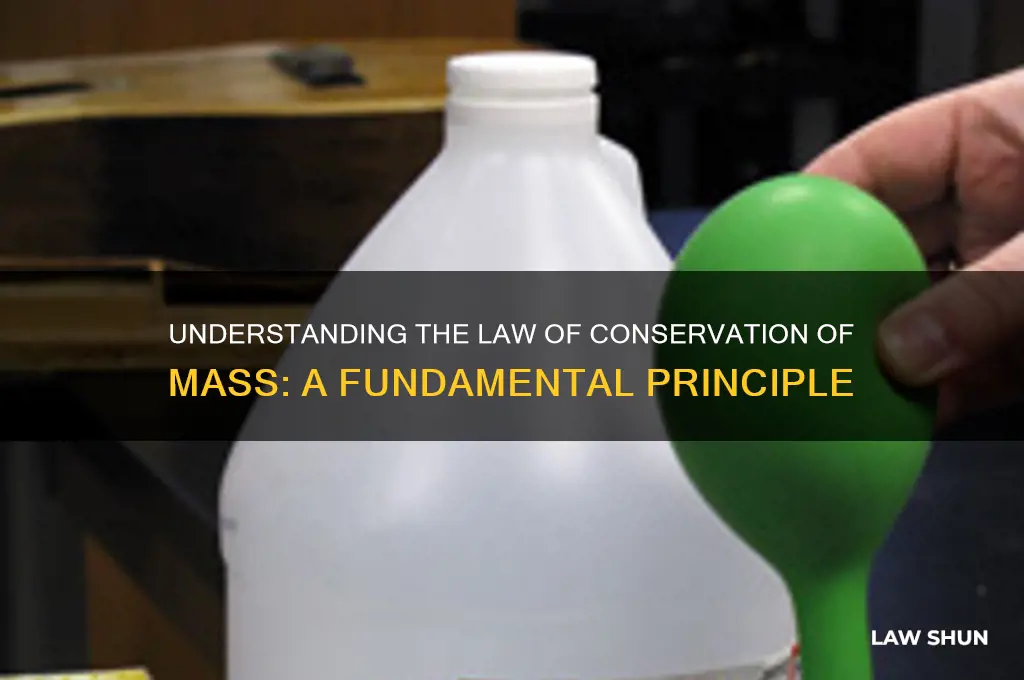 Understanding The Law Of Conservation Of Mass: A Fundamental Principle ...