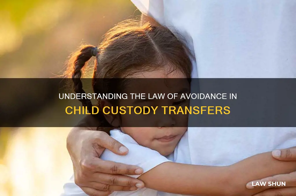 Understanding The Law Of Avoidance In Child Custody Transfers | LawShun