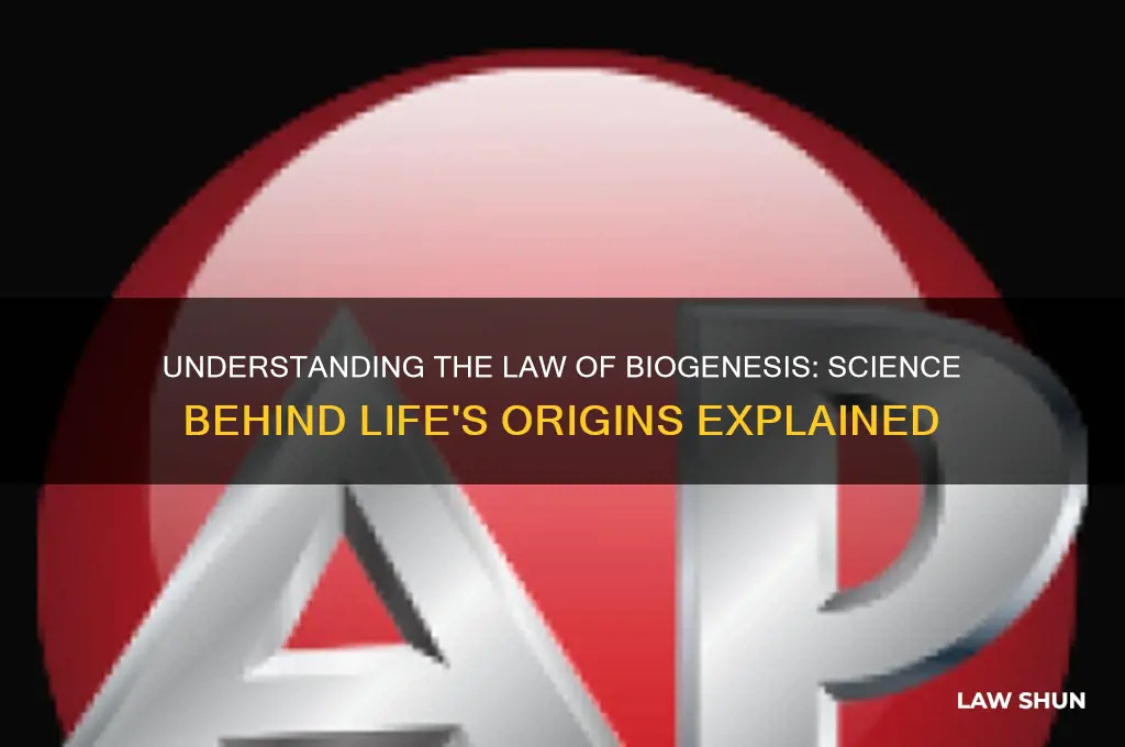 Understanding The Law Of Biogenesis: Science Behind Life's Origins ...