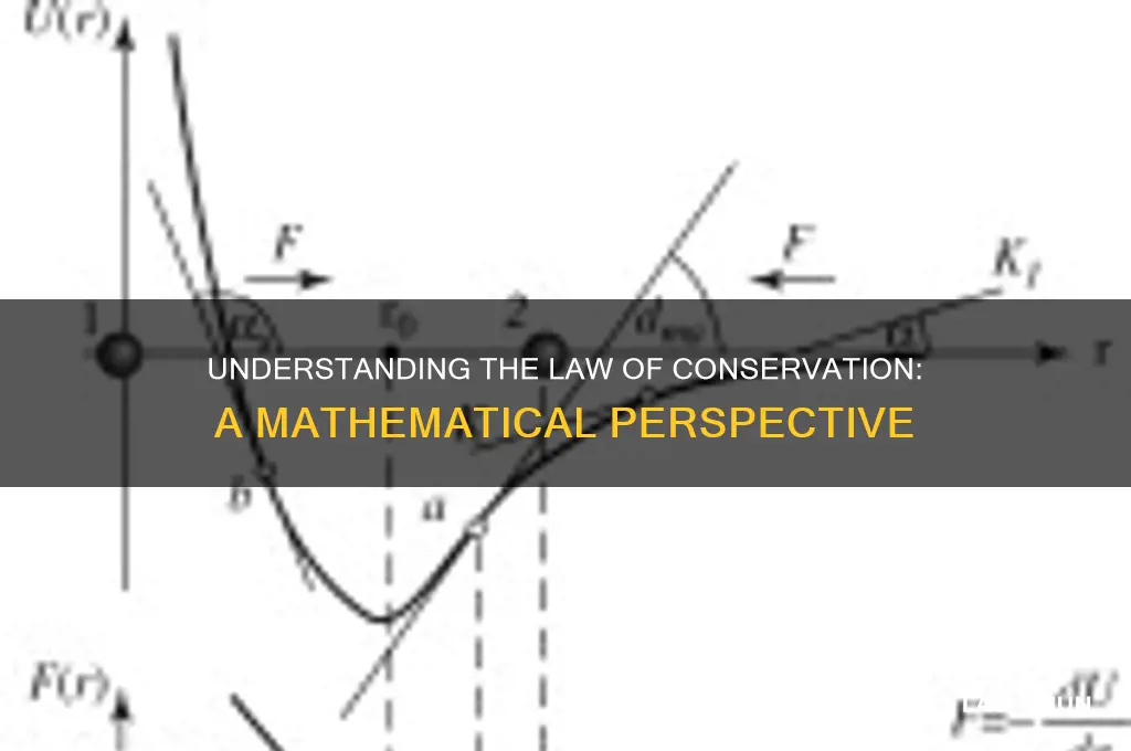 Understanding The Law Of Conservation: A Mathematical Perspective | LawShun