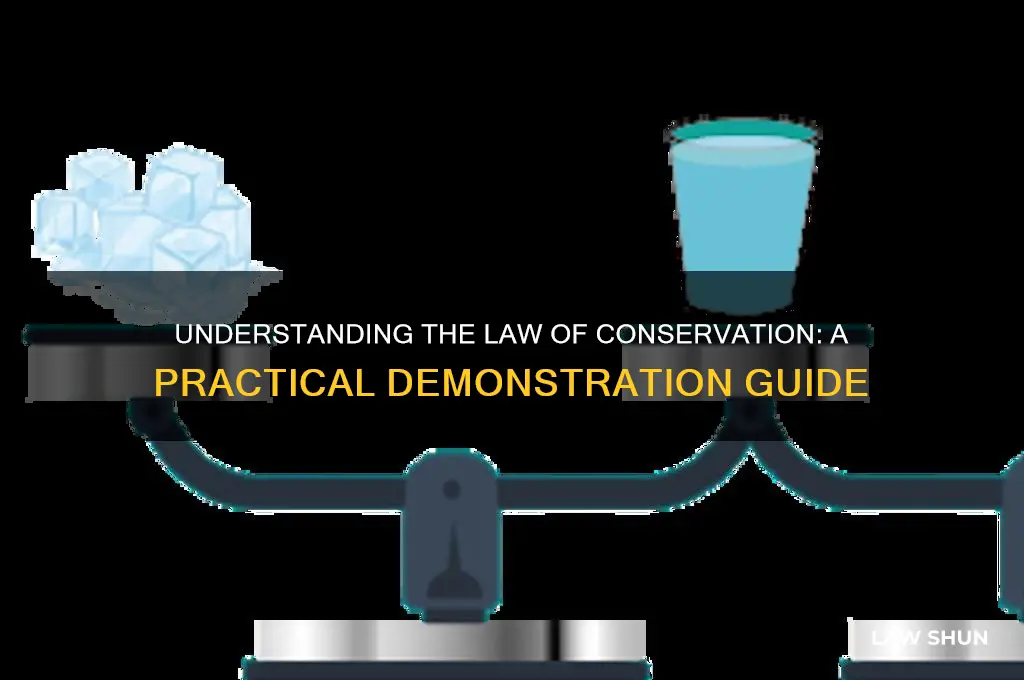 Understanding The Law Of Conservation: A Practical Demonstration Guide ...