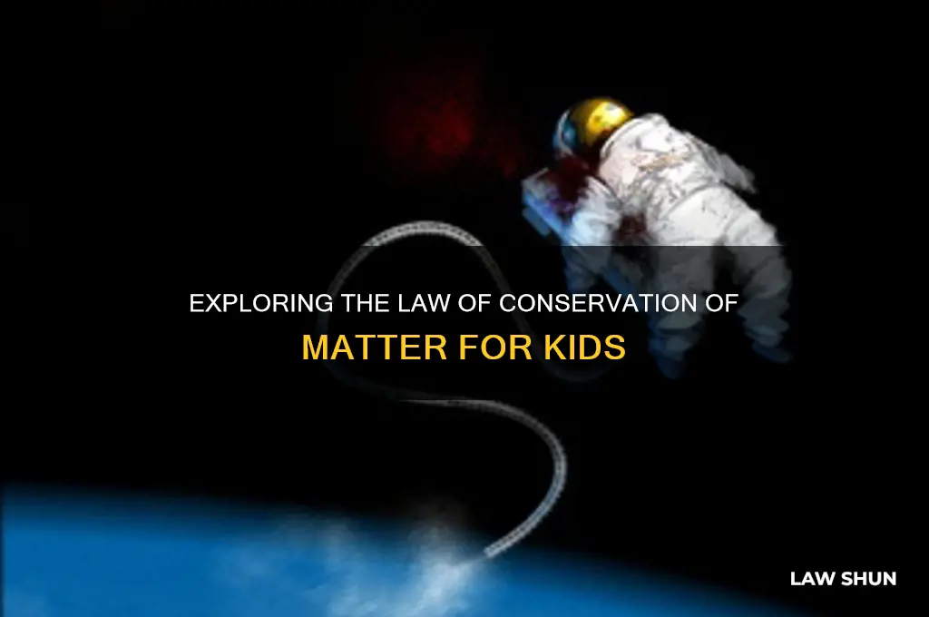 Exploring The Law Of Conservation Of Matter For Kids | LawShun