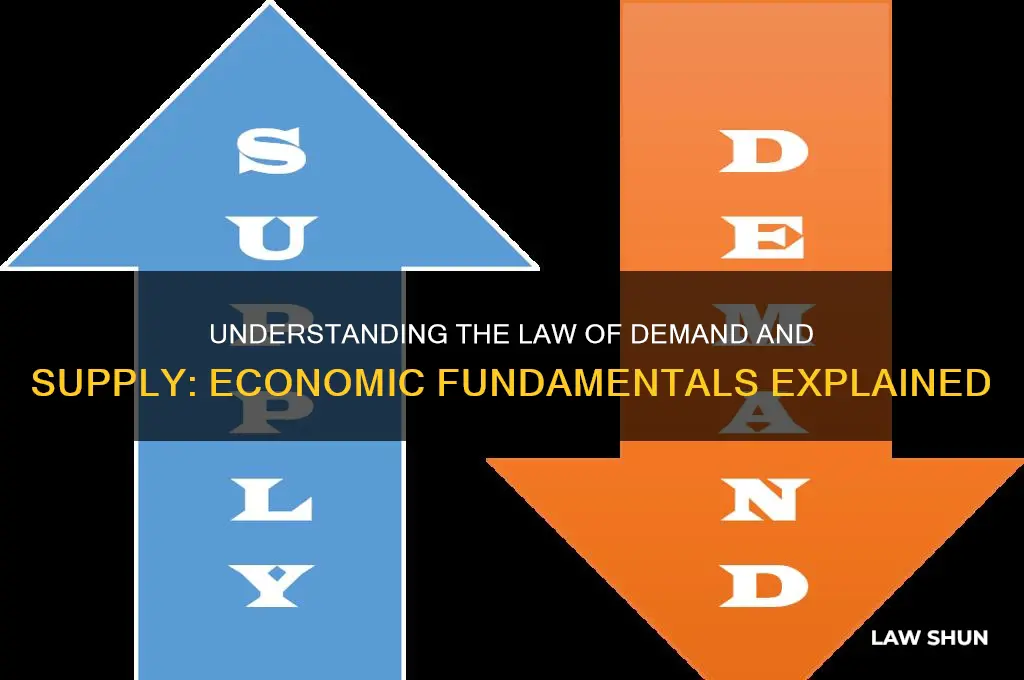 Understanding The Law Of Demand And Supply: Economic Fundamentals ...