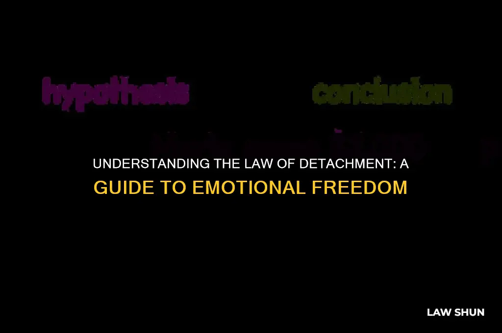 Understanding The Law Of Detachment: A Guide To Emotional Freedom | LawShun