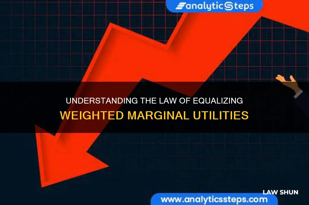 Understanding The Law Of Equalizing Weighted Marginal Utilities | LawShun