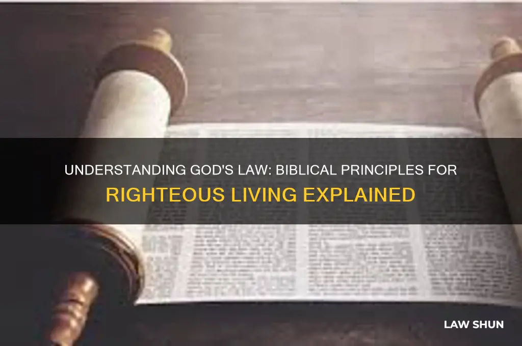 Understanding God's Law: Biblical Principles For Righteous Living ...