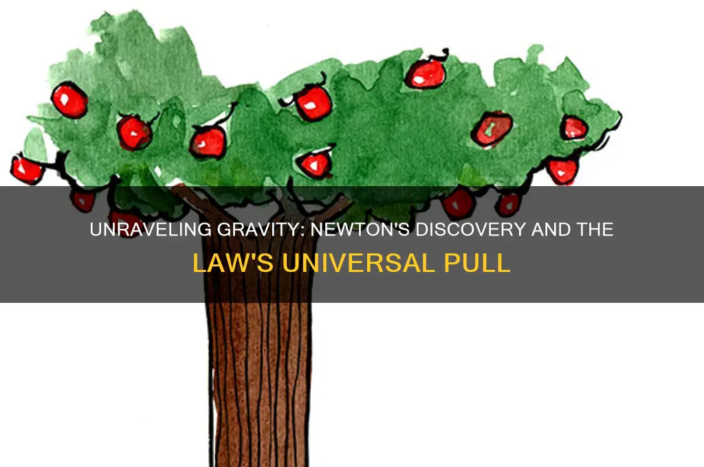 Unraveling Gravity: Newton's Discovery And The Law's Universal Pull ...
