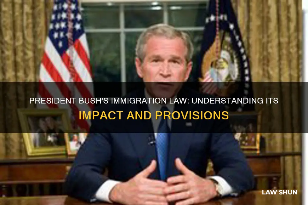 President Bush's Immigration Law: Understanding Its Impact And ...