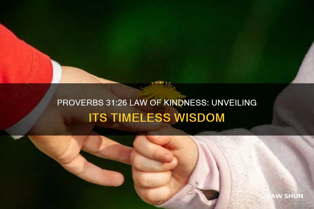 Proverbs 31:26 Law Of Kindness: Unveiling Its Timeless Wisdom | LawShun
