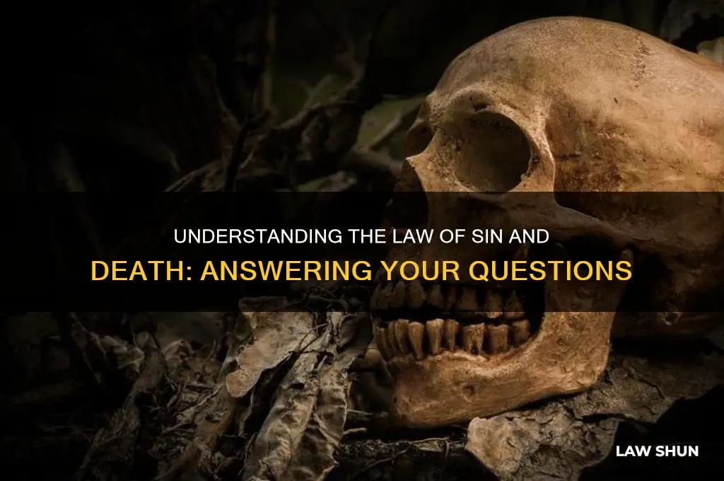 Understanding The Law Of Sin And Death: Answering Your Questions | LawShun