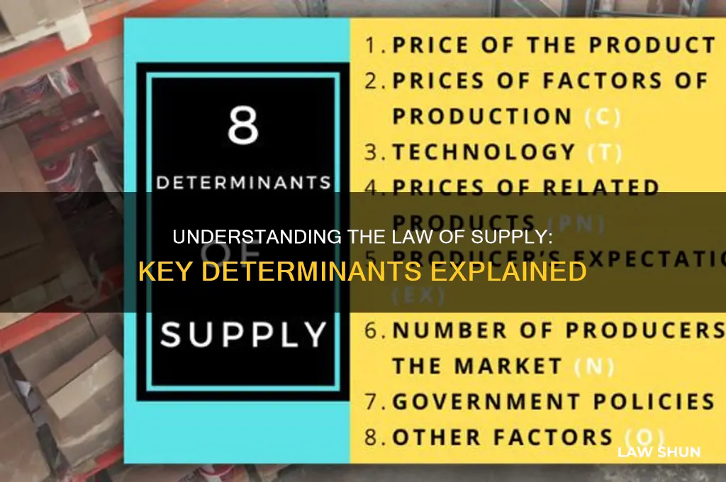 Understanding The Law Of Supply: Key Determinants Explained | LawShun