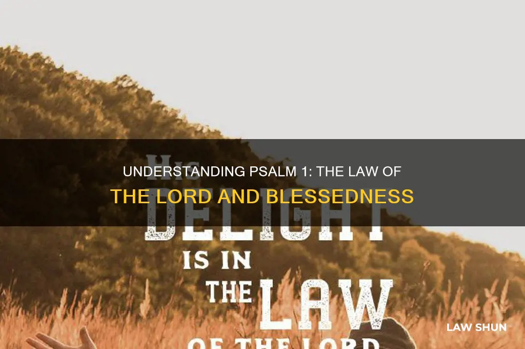 Understanding Psalm 1: The Law Of The Lord And Blessedness | LawShun