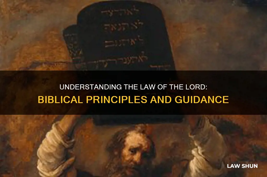 Understanding The Law Of The Lord: Biblical Principles And Guidance ...