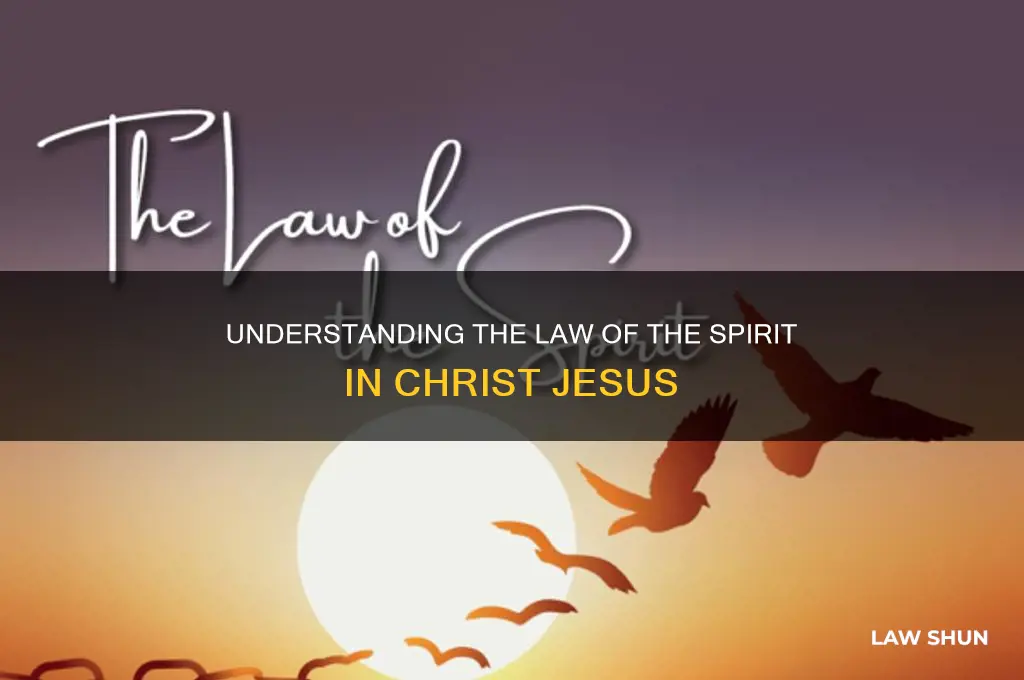 Understanding The Law Of The Spirit In Christ Jesus | LawShun
