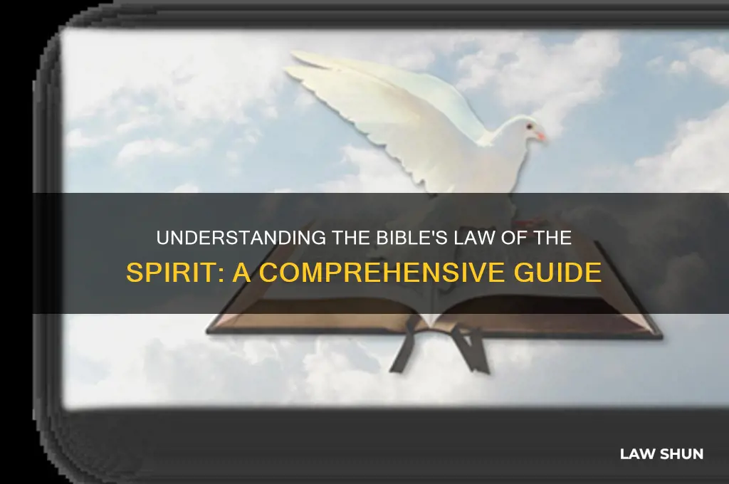 Understanding The Bible's Law Of The Spirit: A Comprehensive Guide ...