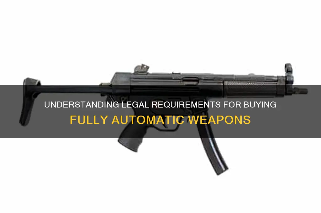 Understanding Legal Requirements For Buying Fully Automatic Weapons ...