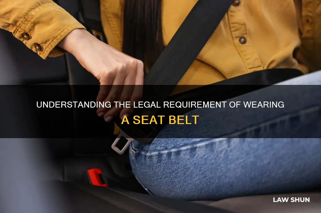 Understanding The Legal Requirement Of Wearing A Seat Belt | LawShun