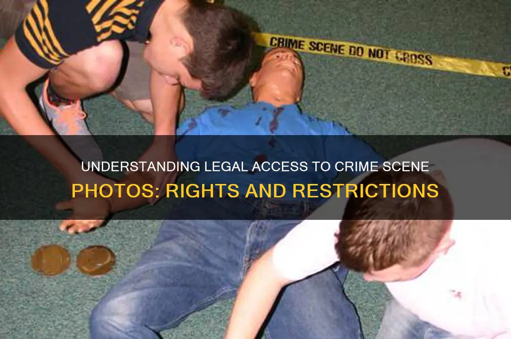 Understanding Legal Access To Crime Scene Photos: Rights And ...