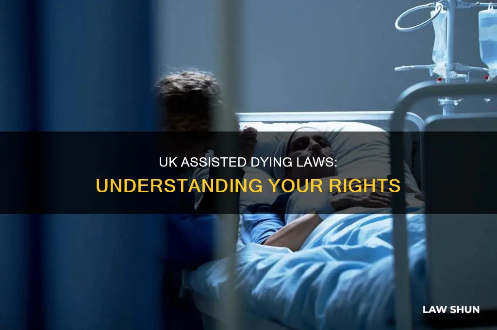 Uk Assisted Dying Laws: Understanding Your Rights | LawShun