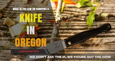 Oregon's Chain Law: Understanding When And Why To Carry Chains | LawShun
