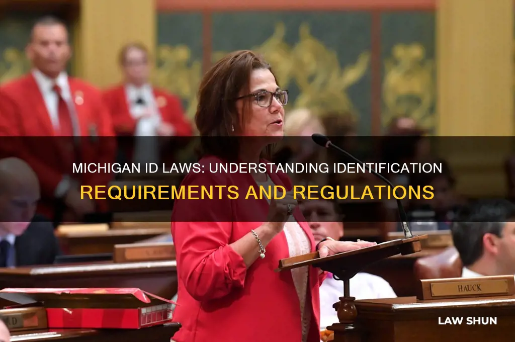 Michigan Id Laws: Understanding Identification Requirements And ...