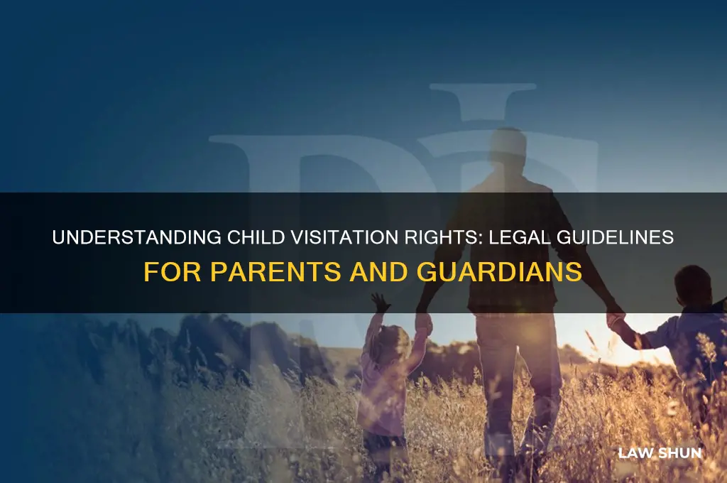 Understanding Child Visitation Rights: Legal Guidelines For Parents And ...