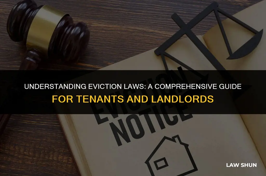 Understanding Eviction Laws: A Comprehensive Guide For Tenants And ...