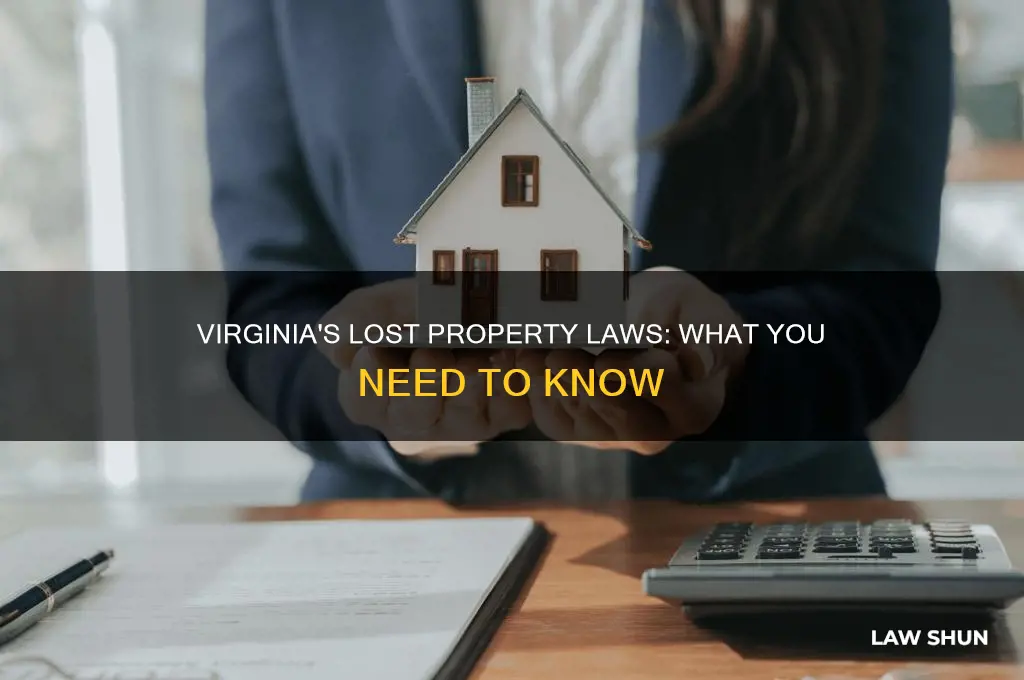 Virginia's Lost Property Laws: What You Need To Know | LawShun