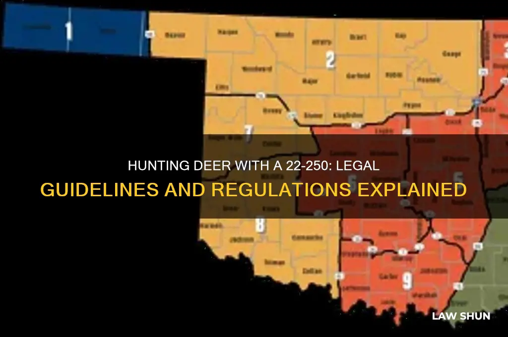Hunting Deer With A 22-250: Legal Guidelines And Regulations Explained ...