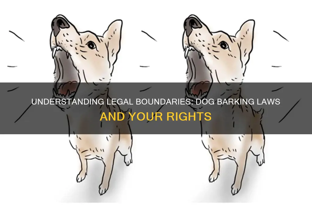 Understanding Legal Boundaries: Dog Barking Laws And Your Rights | LawShun