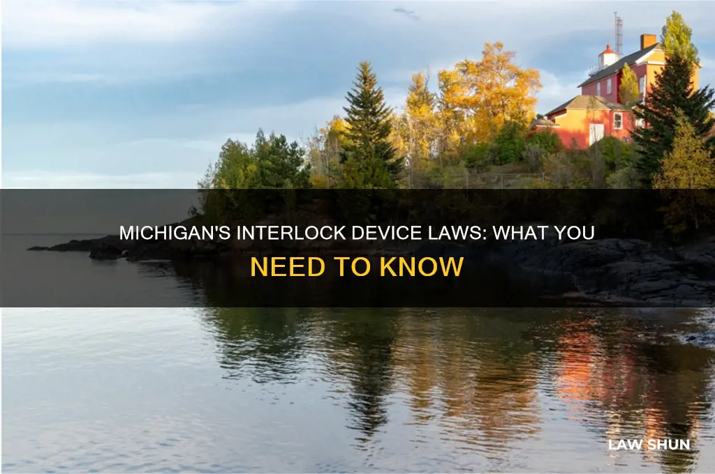 Michigan's Interlock Device Laws: What You Need To Know | LawShun