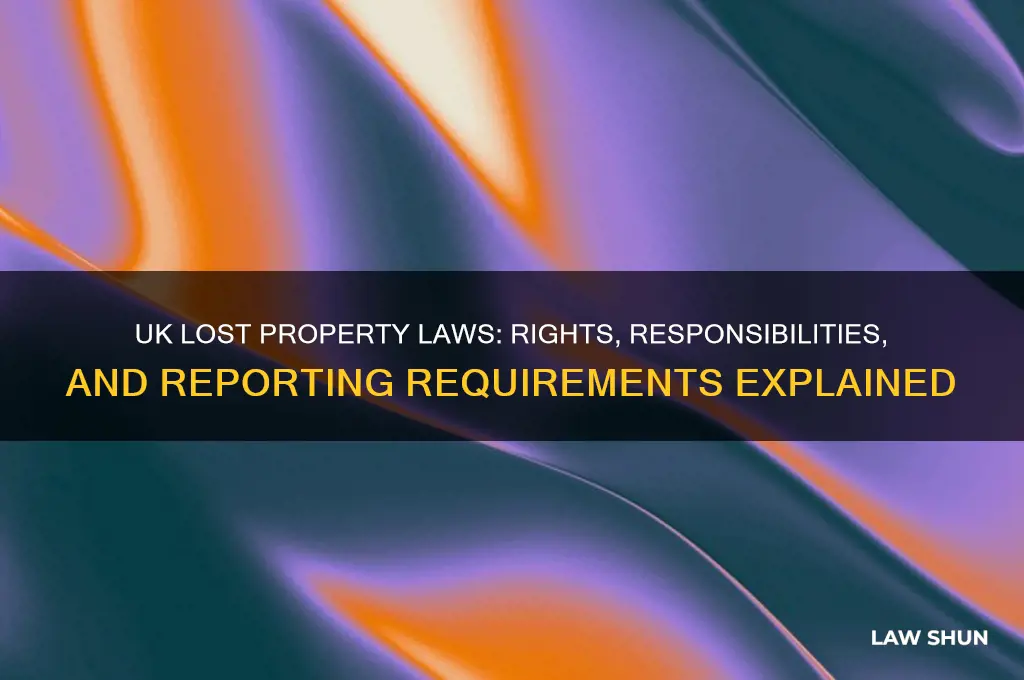 Uk Lost Property Laws: Rights, Responsibilities, And Reporting ...