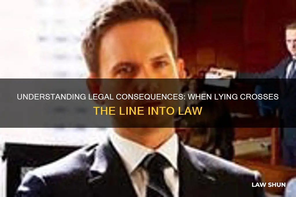 Understanding Legal Consequences: When Lying Crosses The Line Into Law ...