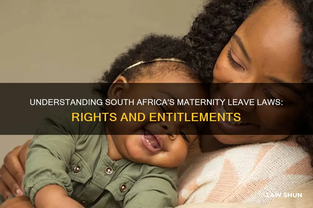 Understanding South Africa's Maternity Leave Laws: Rights And ...