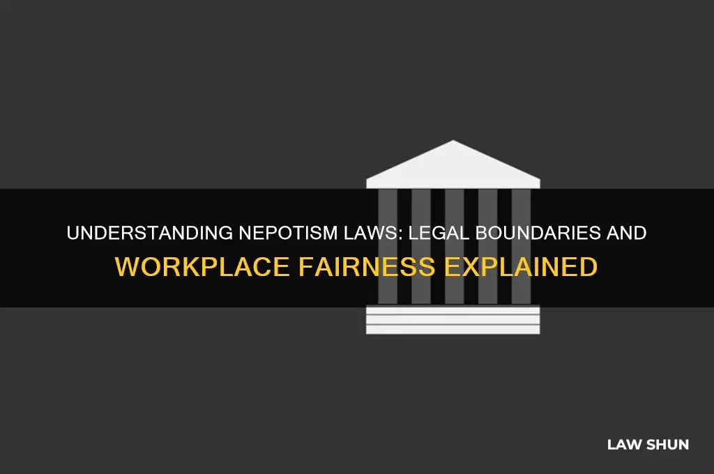 Understanding Nepotism Laws: Legal Boundaries And Workplace Fairness ...