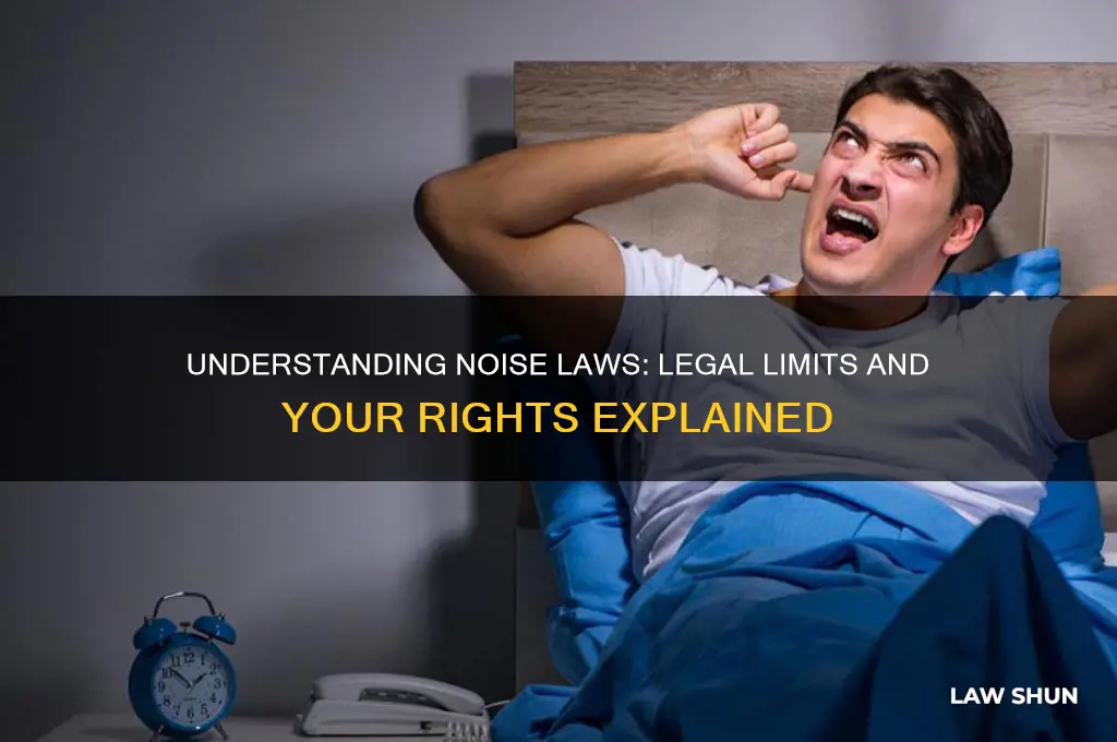 Understanding Noise Laws: Legal Limits And Your Rights Explained | LawShun