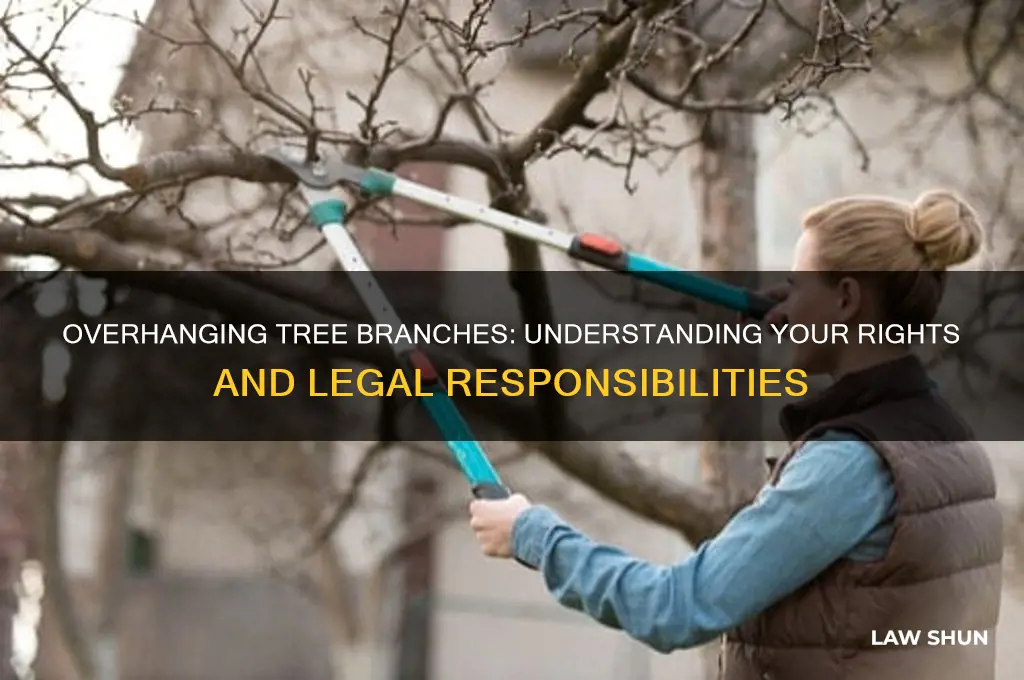 Overhanging Tree Branches: Understanding Your Rights And Legal ...