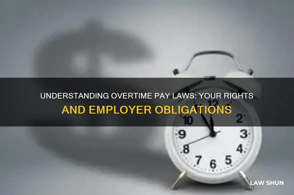 Understanding Overtime Pay Laws: Your Rights And Employer Obligations ...