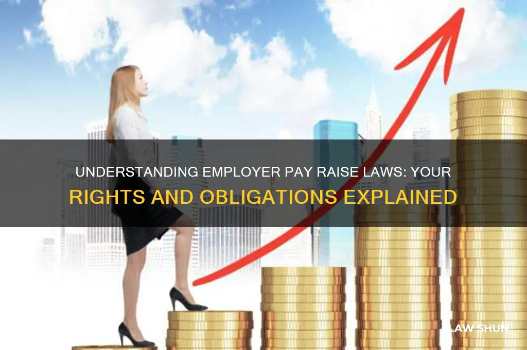 Understanding Employer Pay Raise Laws: Your Rights And Obligations ...