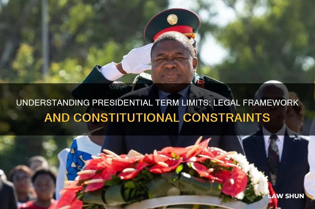 Understanding Presidential Term Limits: Legal Framework And ...
