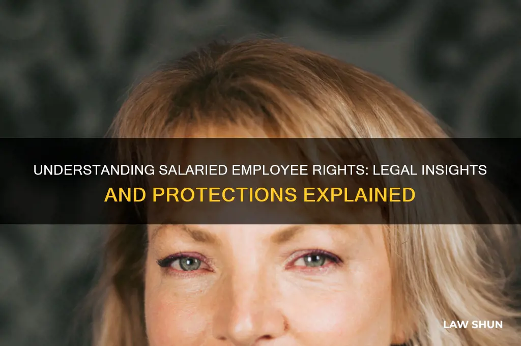 Understanding Salaried Employee Rights: Legal Insights And Protections ...