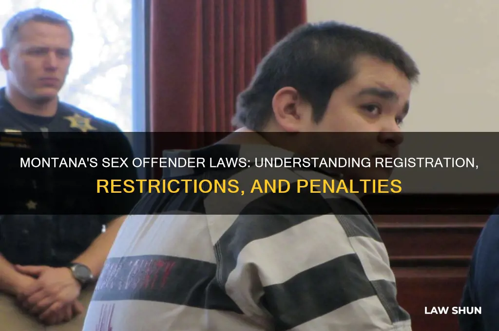 Montana's Sex Offender Laws: Understanding Registration, Restrictions ...